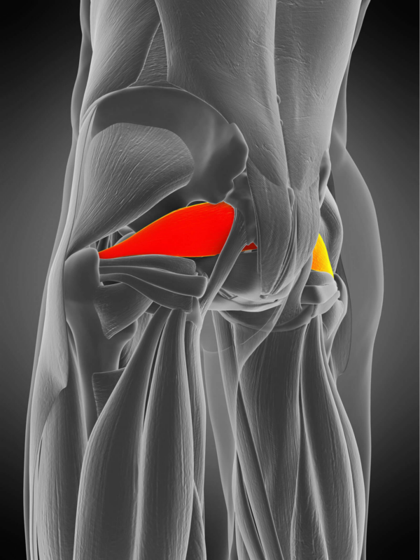 Piriformis Syndrome | Complete Physio